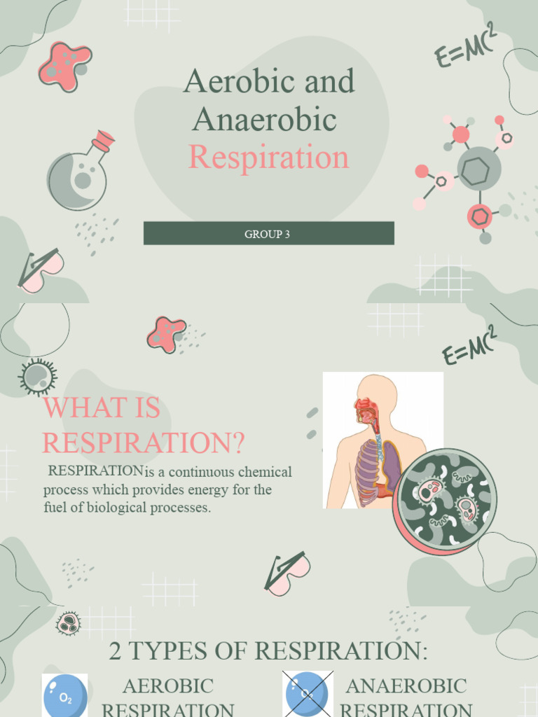 Aerobic and Anaerobic Respiration | PDF | Cellular Respiration | Glycolysis