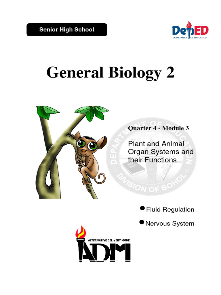 Gen Biology 2 | PDF | Kidney | Neuron