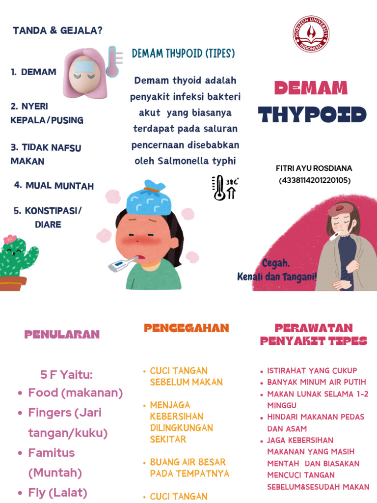 Leaflet Typoid | PDF