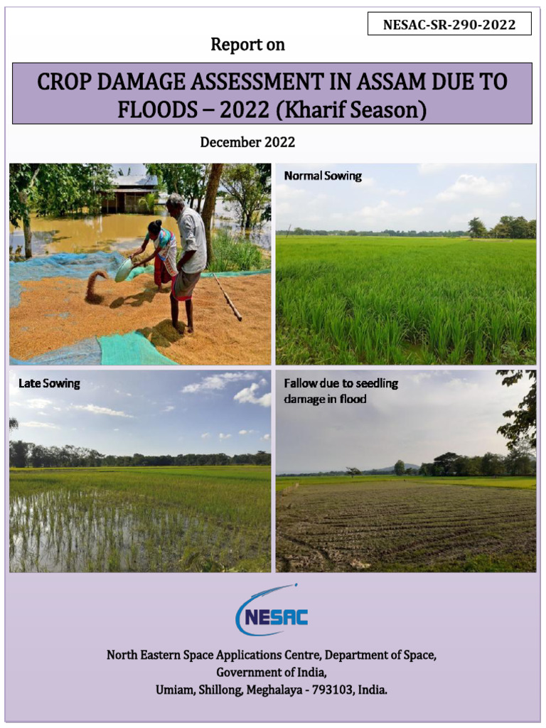 Assam Kharif Crop Damage Report 2022 | PDF | Flood | Earth Sciences