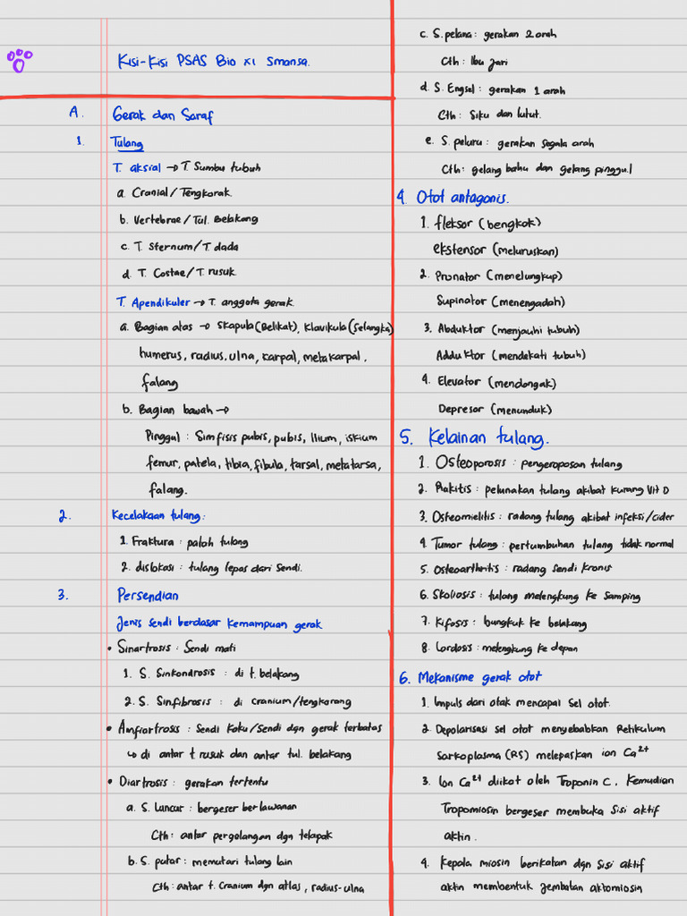 Psas Gerak Saraf | PDF