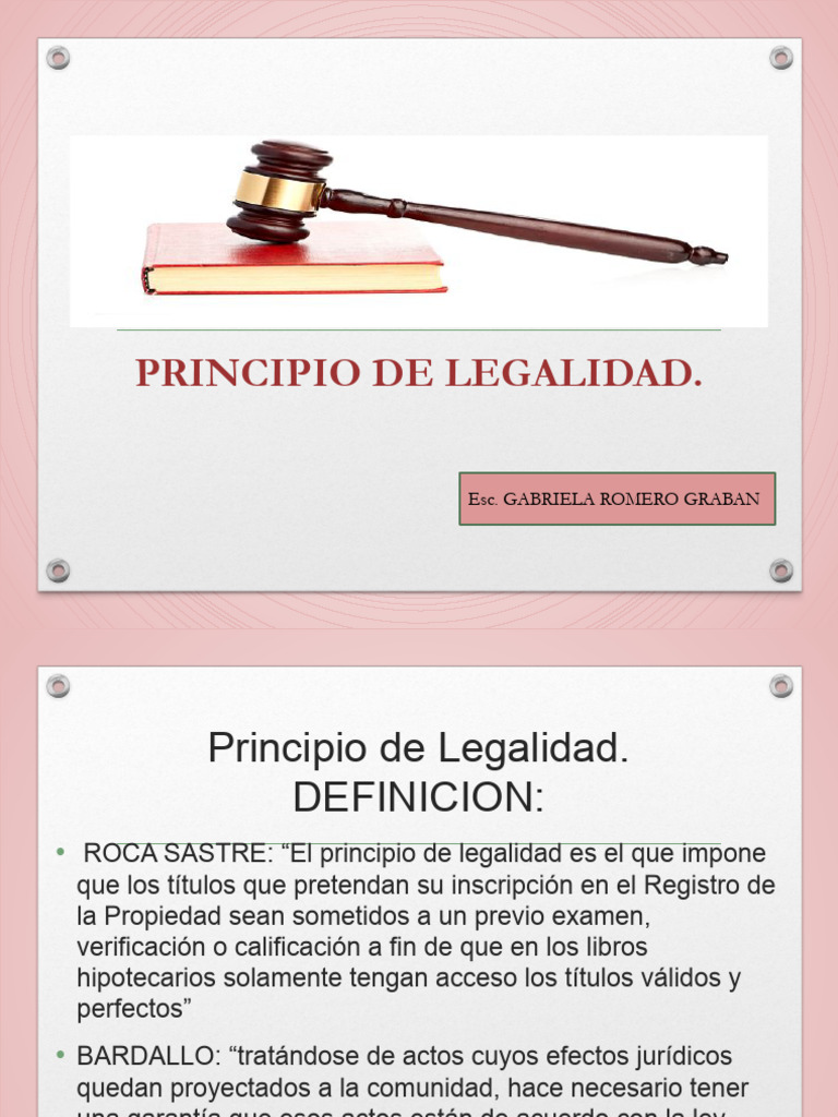Principio de Legalidad 2024 | PDF | Gobierno | Justicia