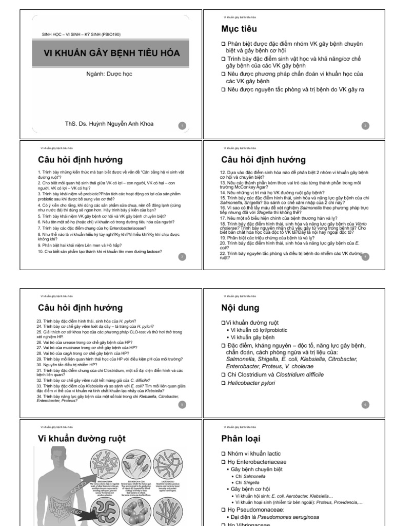 Sinh Hoc - Vi Sinh - Ky Sinh - B9 | PDF