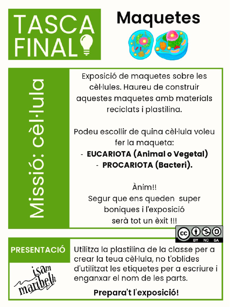 Tasca Final La Cèl Lula-1 | PDF