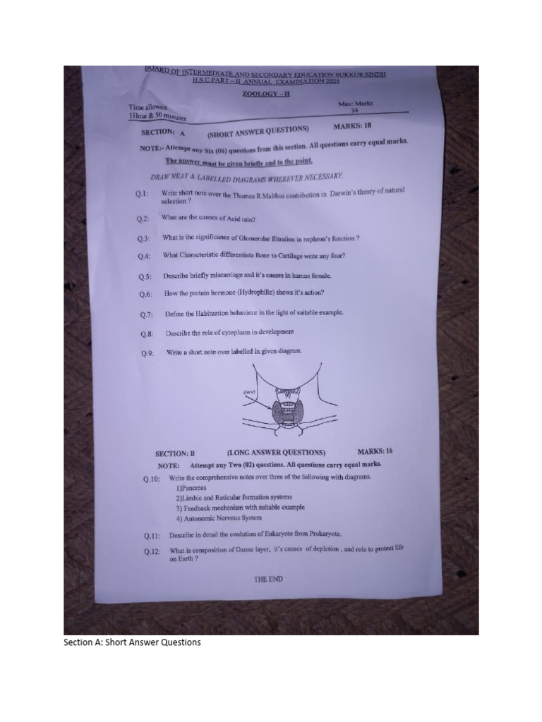Mr Sam Zoology | PDF | Ozone Depletion | Pancreas
