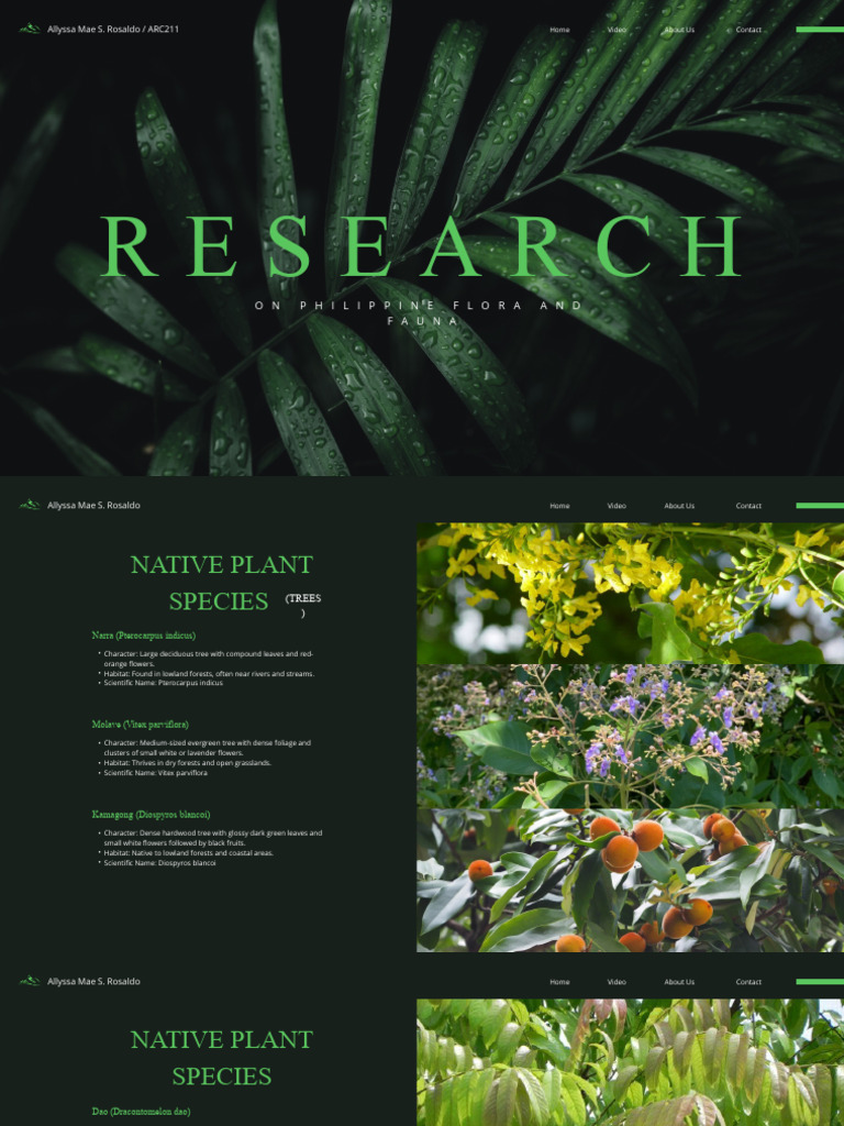 ROSALDO, ALLYSSA MAE S_RESEARCH ON PHILIPPINE FLORA AND FAUNA | PDF ...