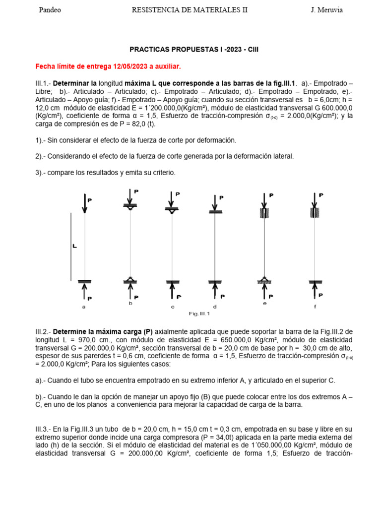 Prácticas de Pandeo y Resistencia | PDF | Pandeo | Elasticidad (Física)
