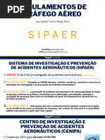 Estrutura do SIPAER e Atribuições | PDF | Aviação