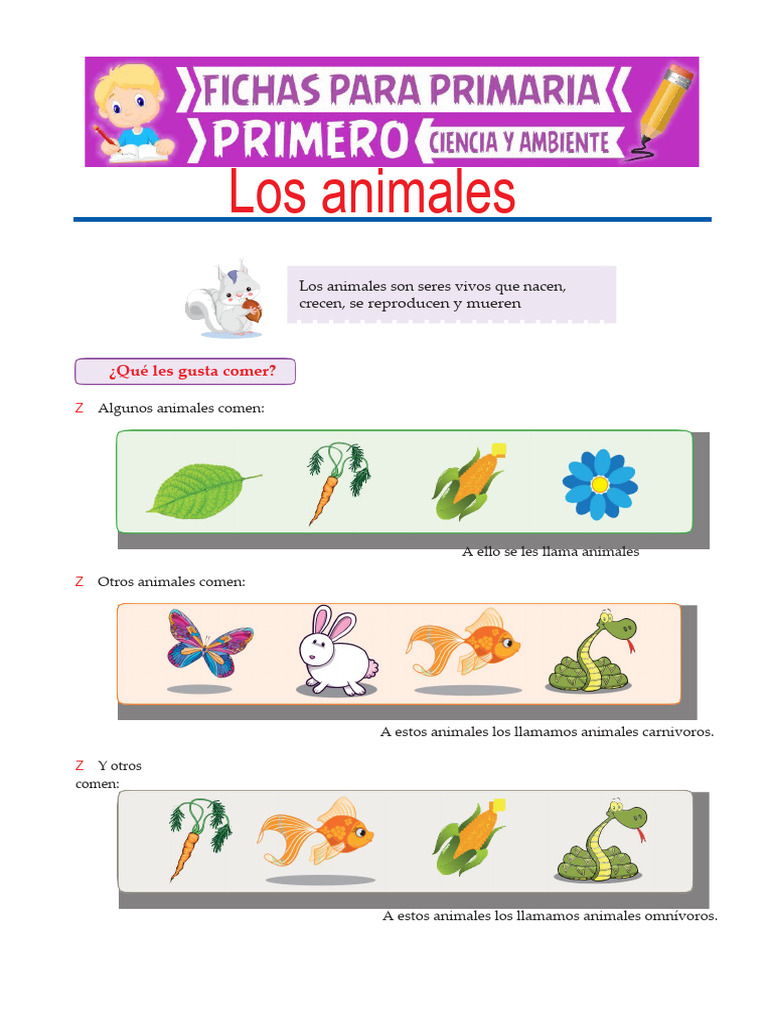 Taller de Ciencias Naturales de Los Animales | PDF | Carne | Zoología