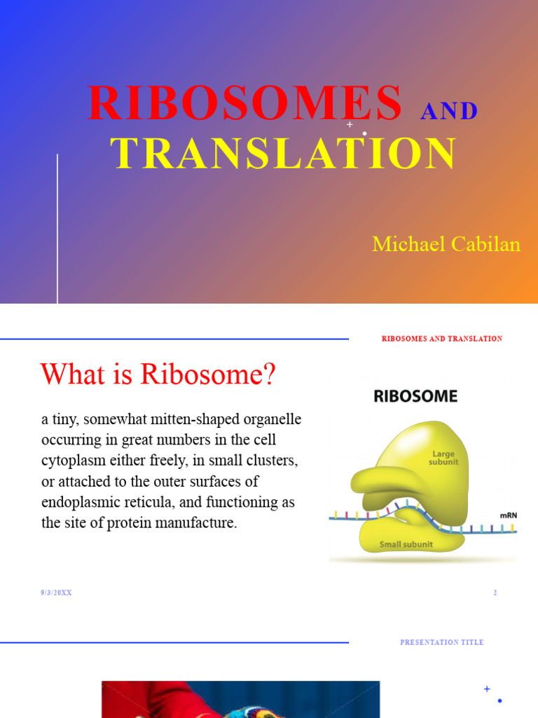 Ribosomes and Translation | PDF | Translation (Biology) | Genetic Code