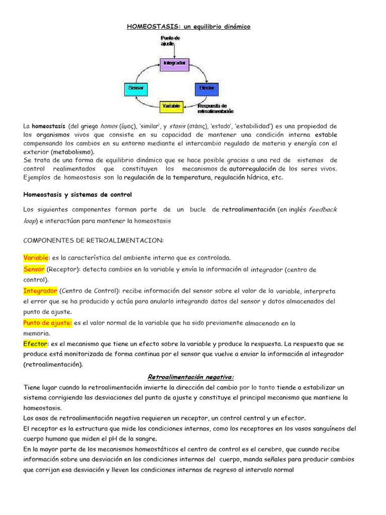 Retroalimentacion | PDF | Homeostasis | Realimentación