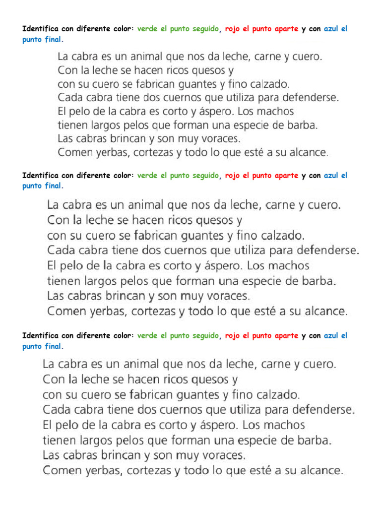 Identifica Puntos Seguido, Aparte y Final | PDF