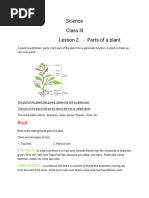 Worksheet Science Grade 4 (Part of Plants) | PDF | Plant Stem | Leaf