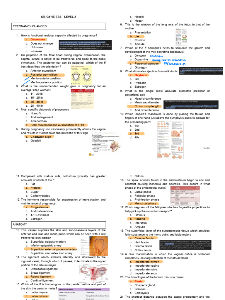 OB GYNE EBS LVL 3 | PDF | Menstrual Cycle | Labia
