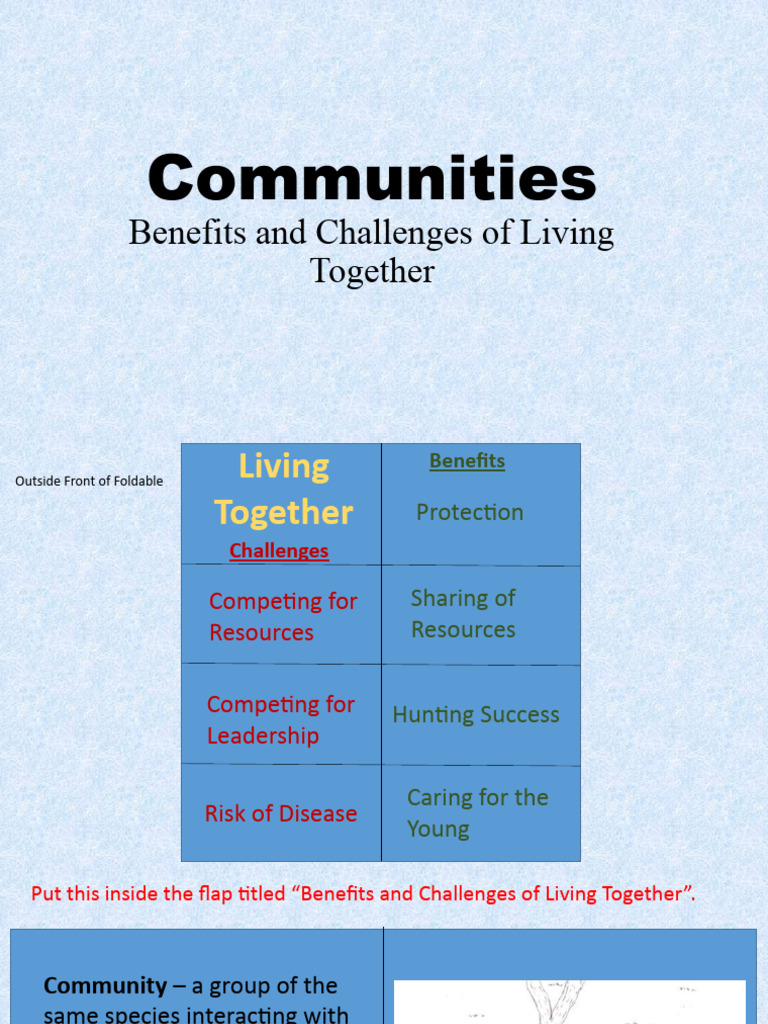 Community Foldable v2 | PDF