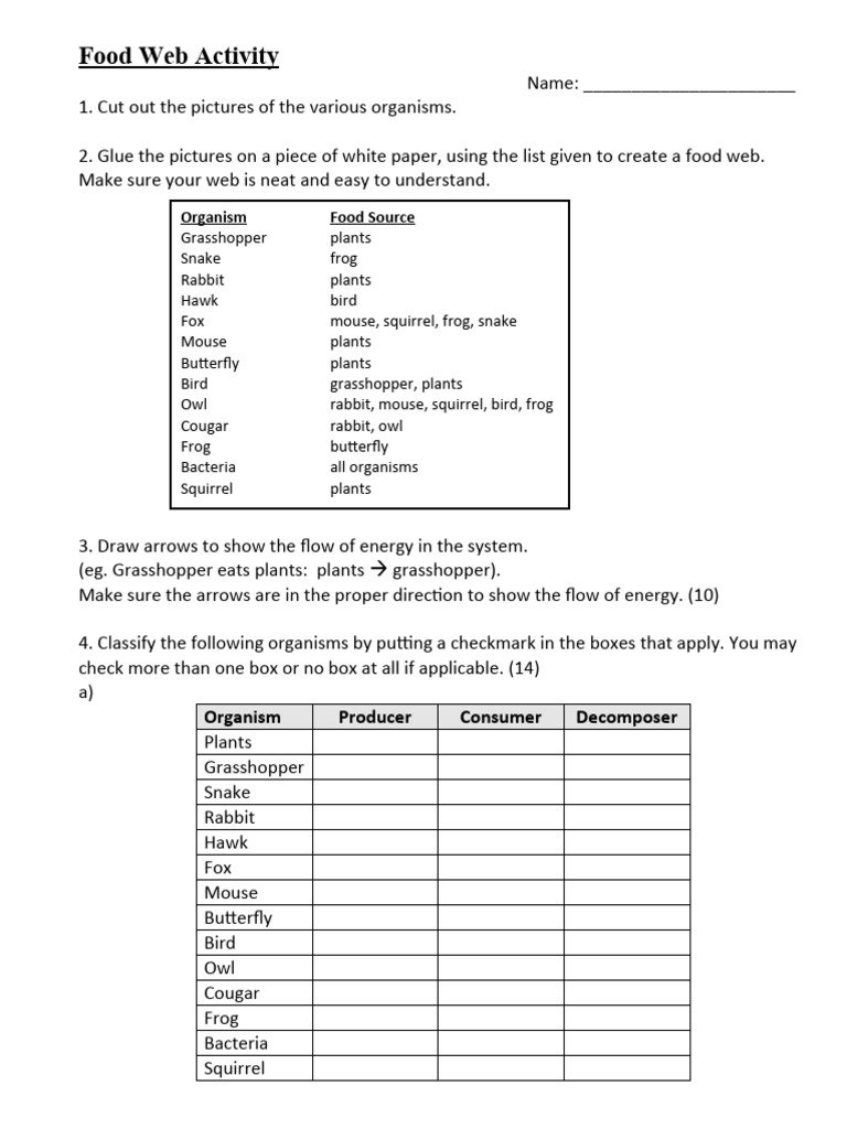 Food Web Activity | PDF | Food Web | Foods