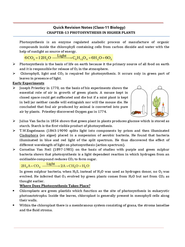 Photosynthesis in Higher Plants Explained | PDF | Photosynthesis ...
