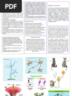 La Rata Con Thinner - Edited PDF | PDF
