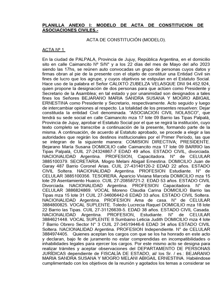 Modelo de Acta de Constitución Civil | PDF | Gobierno