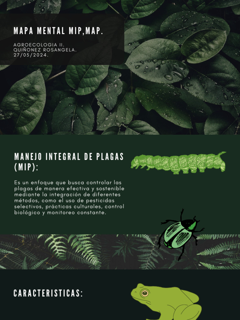 MIPMAP Compressed | PDF | Agroecología | Ecología