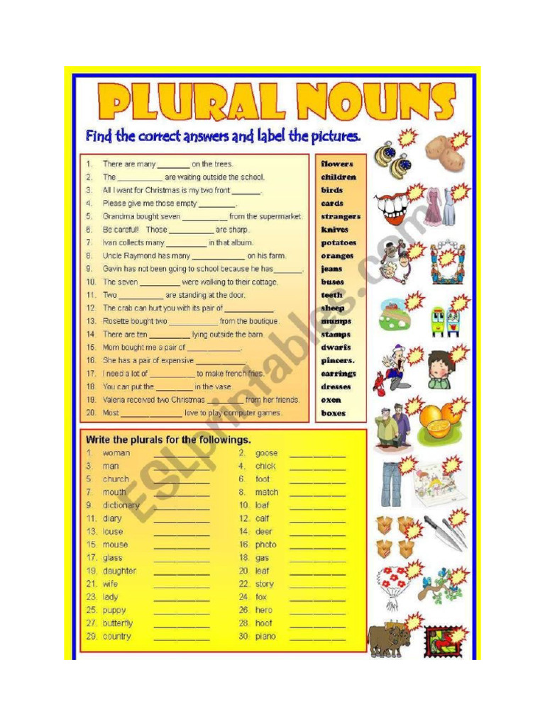 Plural Nouns | PDF