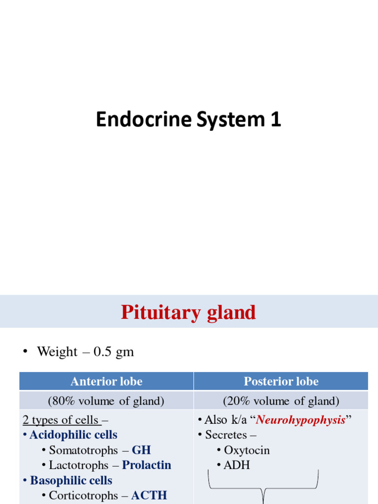 Endocrine 1 | PDF | Pituitary Gland | Adenoma