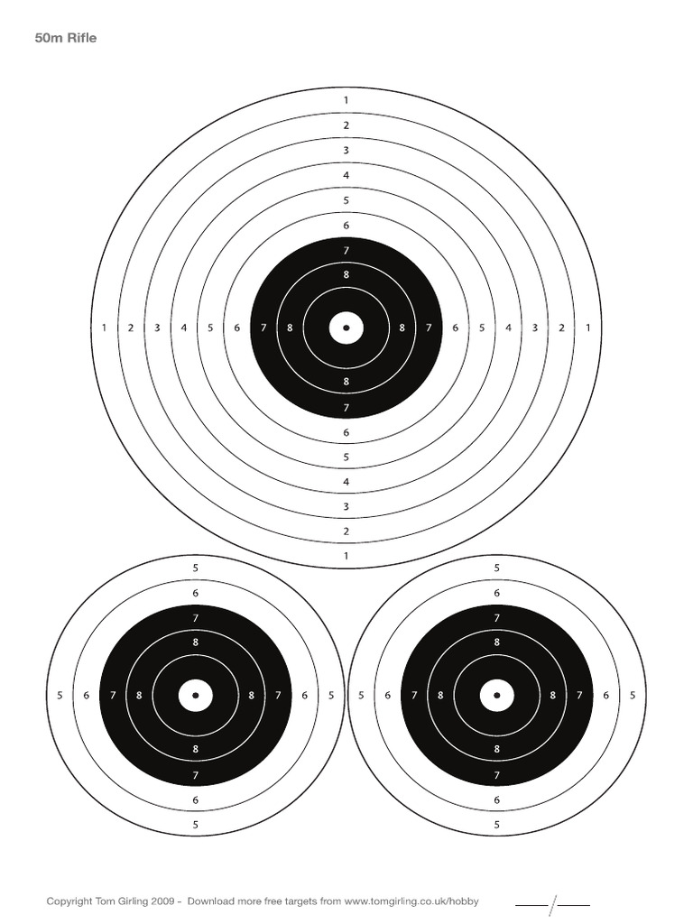 A4 50m Rifle Target Modified | PDF