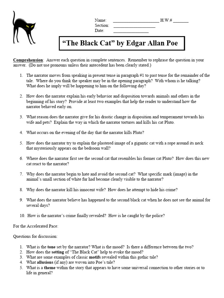 The Black Cat Comprehension and Discussion Questions | PDF