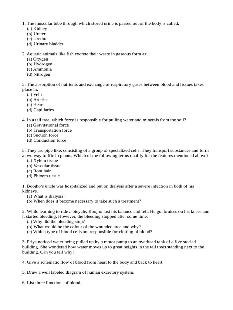 Claass 7 Scence Test | PDF