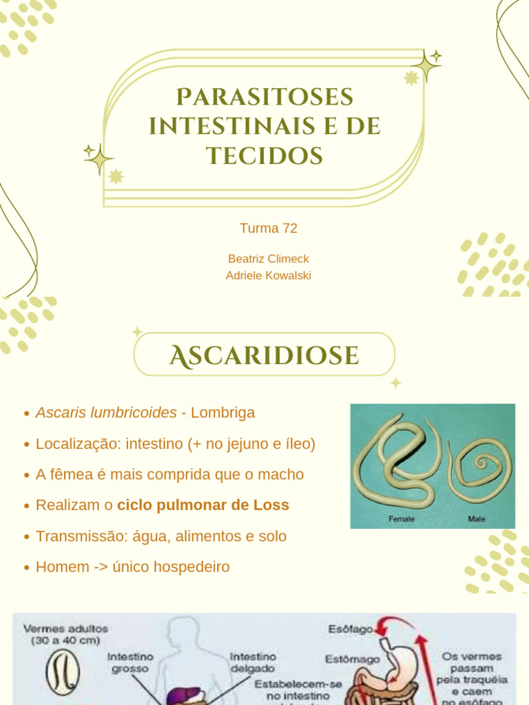 Parasitoses Intestinais e Tecidos | PDF | Medicina Clínica | Epidemiologia