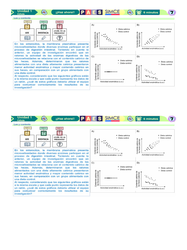 Clase 7 haz ahora | PDF