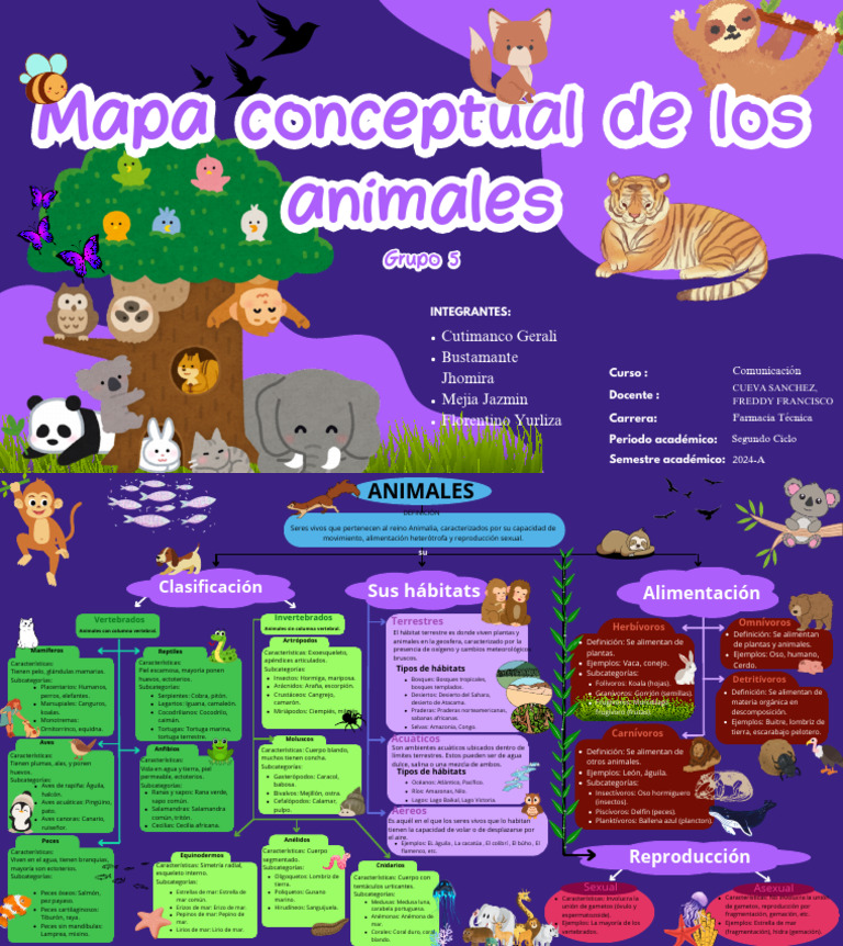 Mapa Conceptual de Animales | PDF | Aves | Habitat