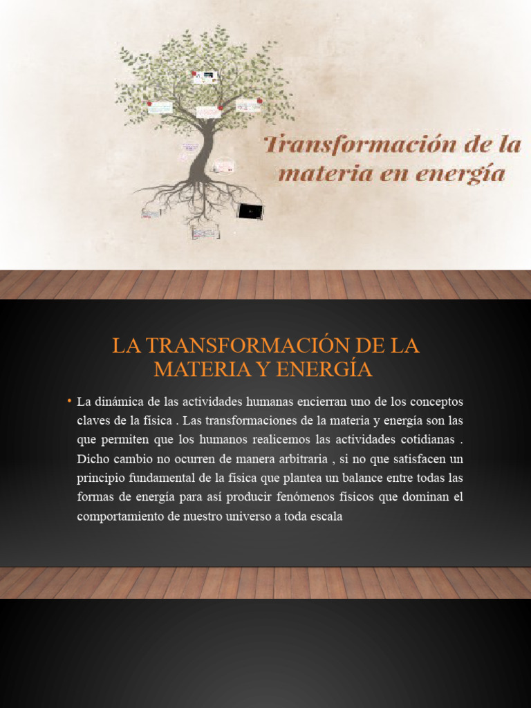 Materia y Energia | PDF