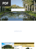 Ficha de Vegetacion | PDF | Arboles | Hoja