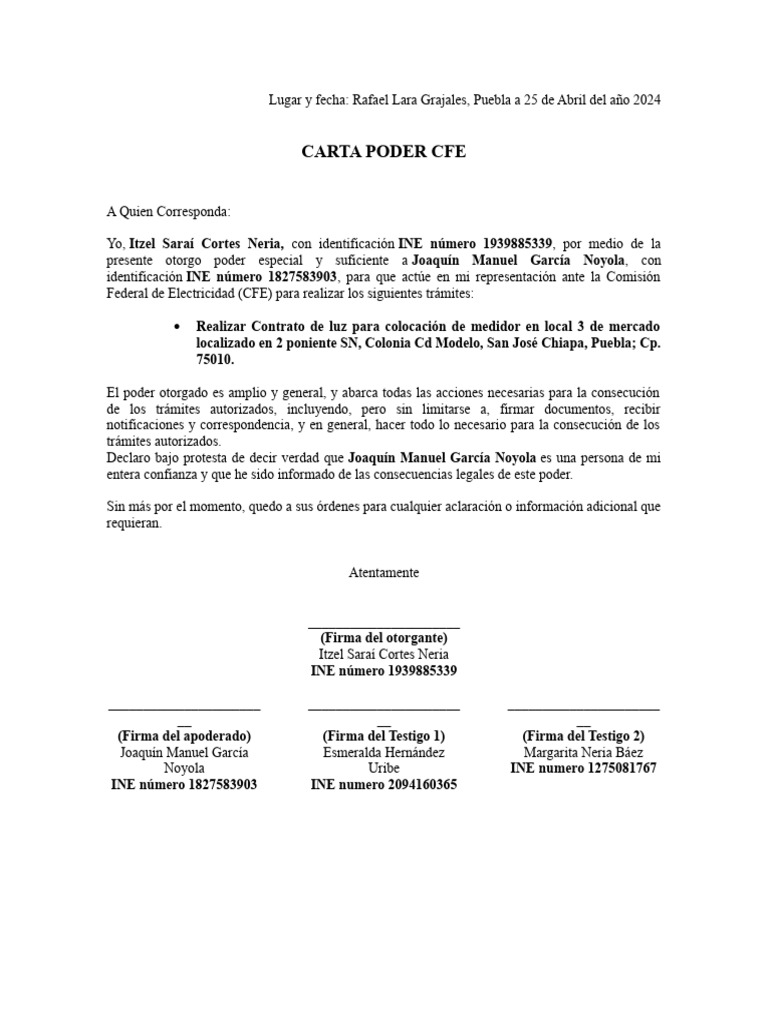 carta poder cfe | PDF