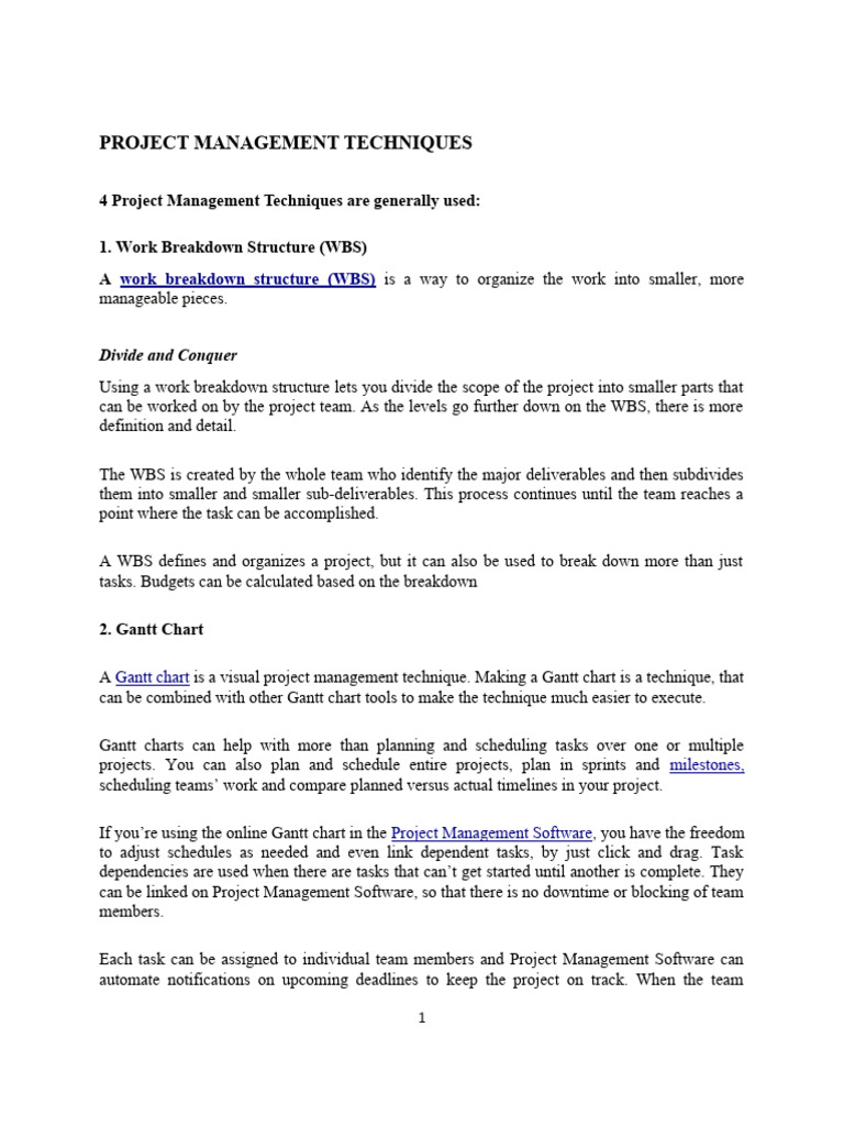 3.0. Project Management Techniques | PDF | Project Management | Computing