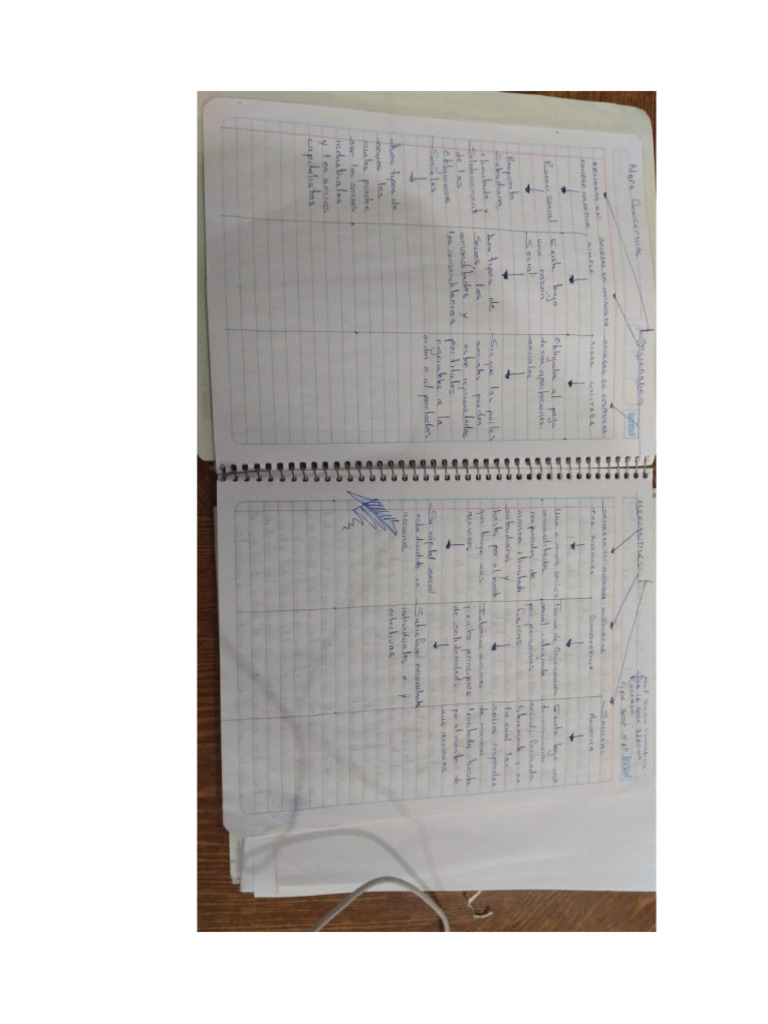 Mapa Concep. SOc. Mercantiles M. Vinicio | PDF