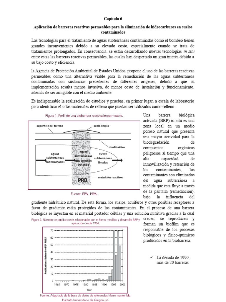 Resumen Capitulo 6 | PDF | Adsorción | Agua