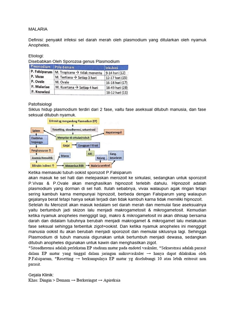 Malaria | PDF | Kesehatan Holistik | Sains & Matematika