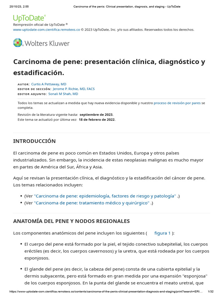 Carcinoma of The Penis - Clinical Presentation, Diagnosis, and Staging ...