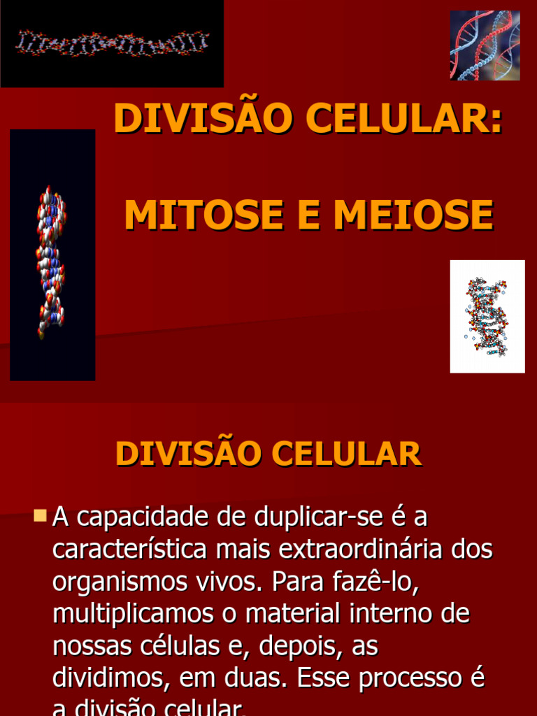 Divisão Celular Mitose E Meiose Pdf Meiose Mitose