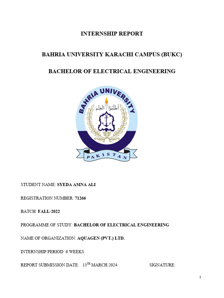 Amna Internship Report | PDF | Sustainability | Innovation