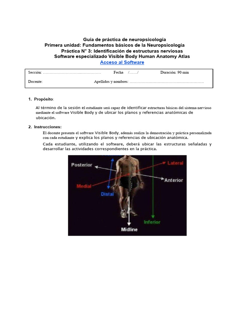 Guía Práctica 3 Identificacion de Estructuras Nerviosas Software Body ...