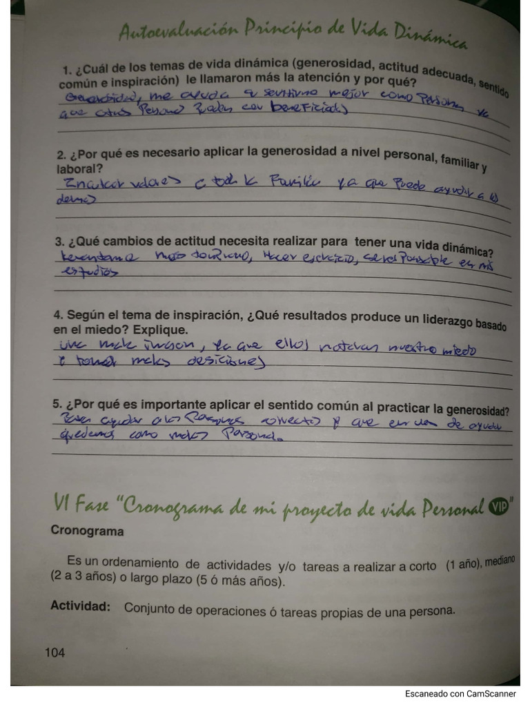 Autoevaluacion PVD | PDF