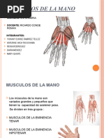 Músculos de la eminencia tenar y hipotenar | PDF | Mano | Anatomía humana