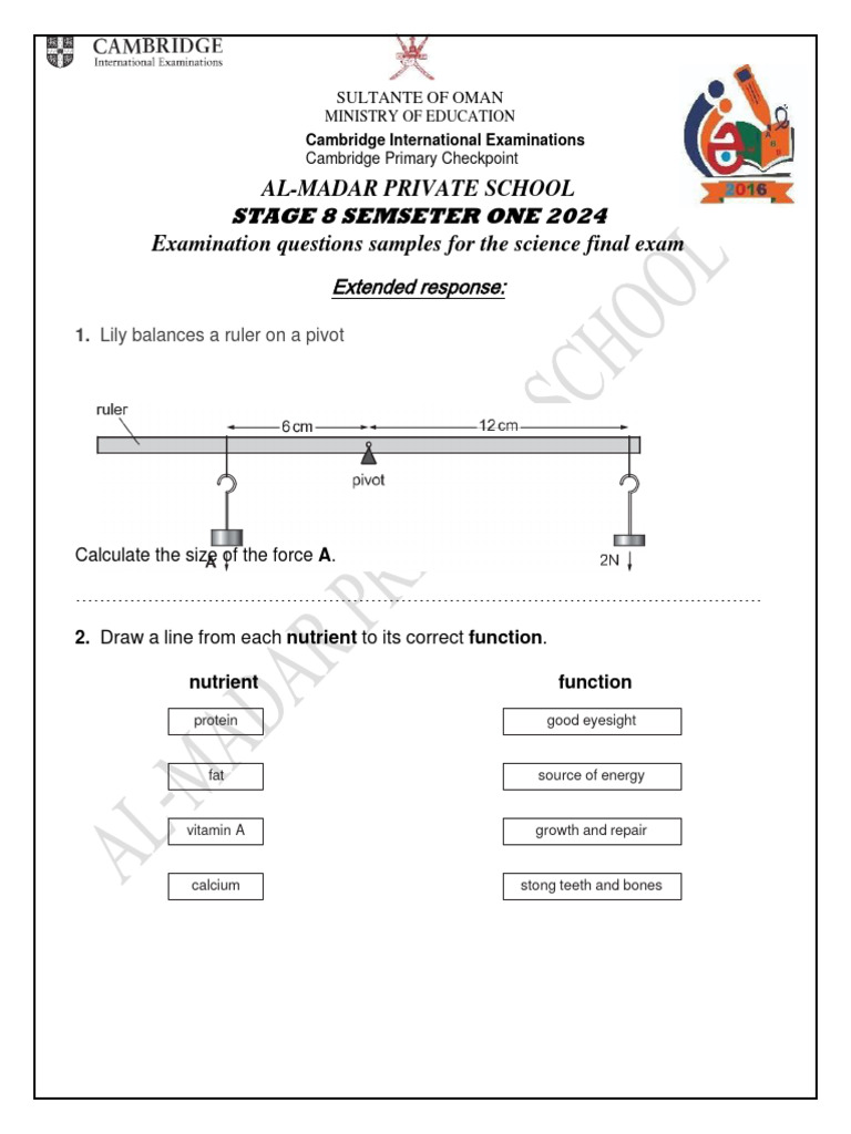 Reviewer Fo Final Examination Stage 8 Semseter One 2024 | Download Free ...