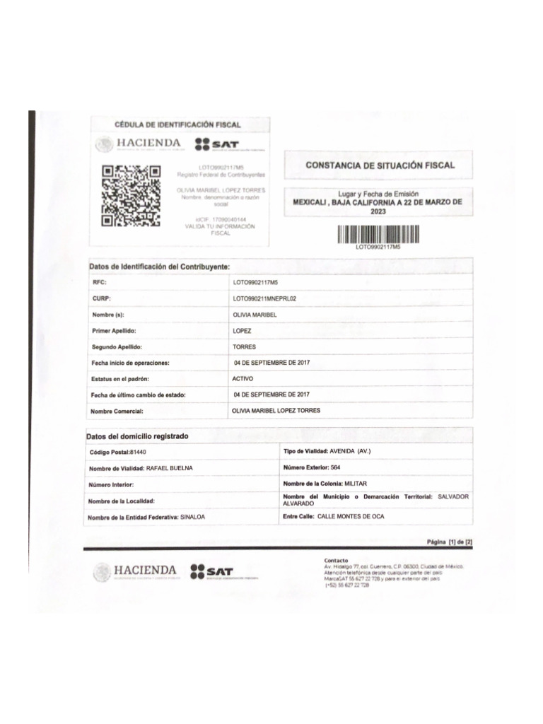 Cédula de Identificación Fiscal | PDF