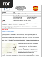 Estructura y Tipos de Limbo en Hojas | PDF | Hoja | Botánica