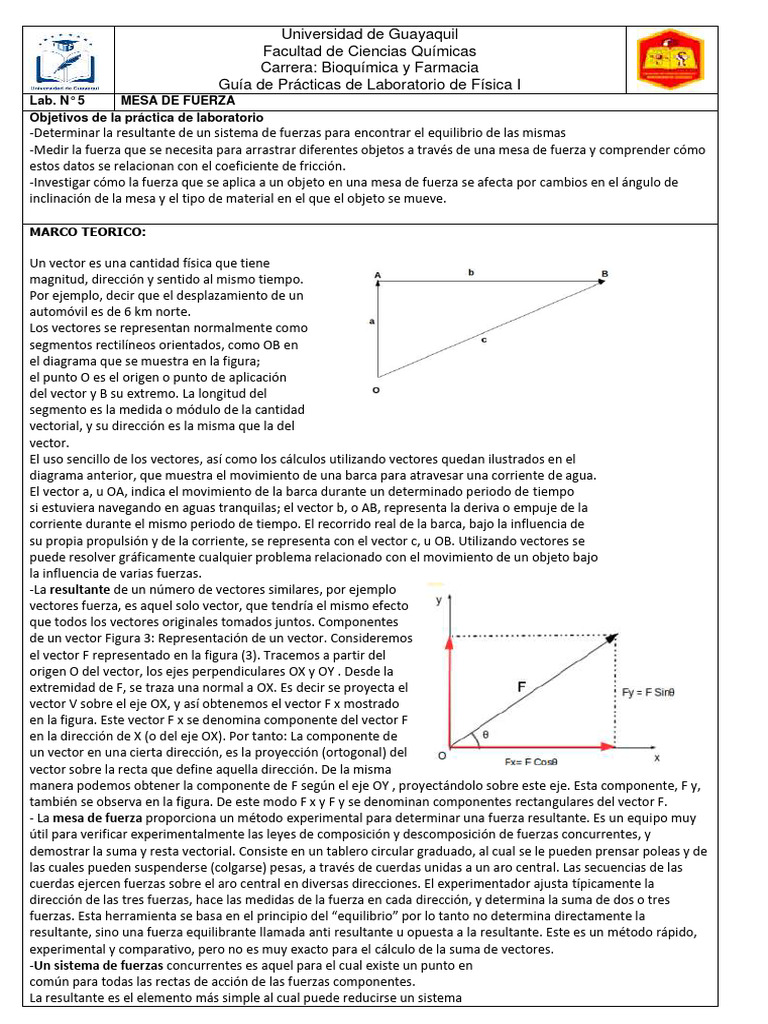 Informe 5 Fisica PR | PDF | Vector Euclidiano | Fuerza