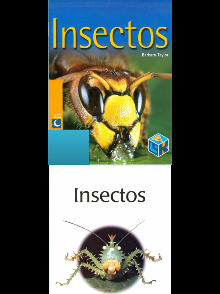 INSECTOS | PDF